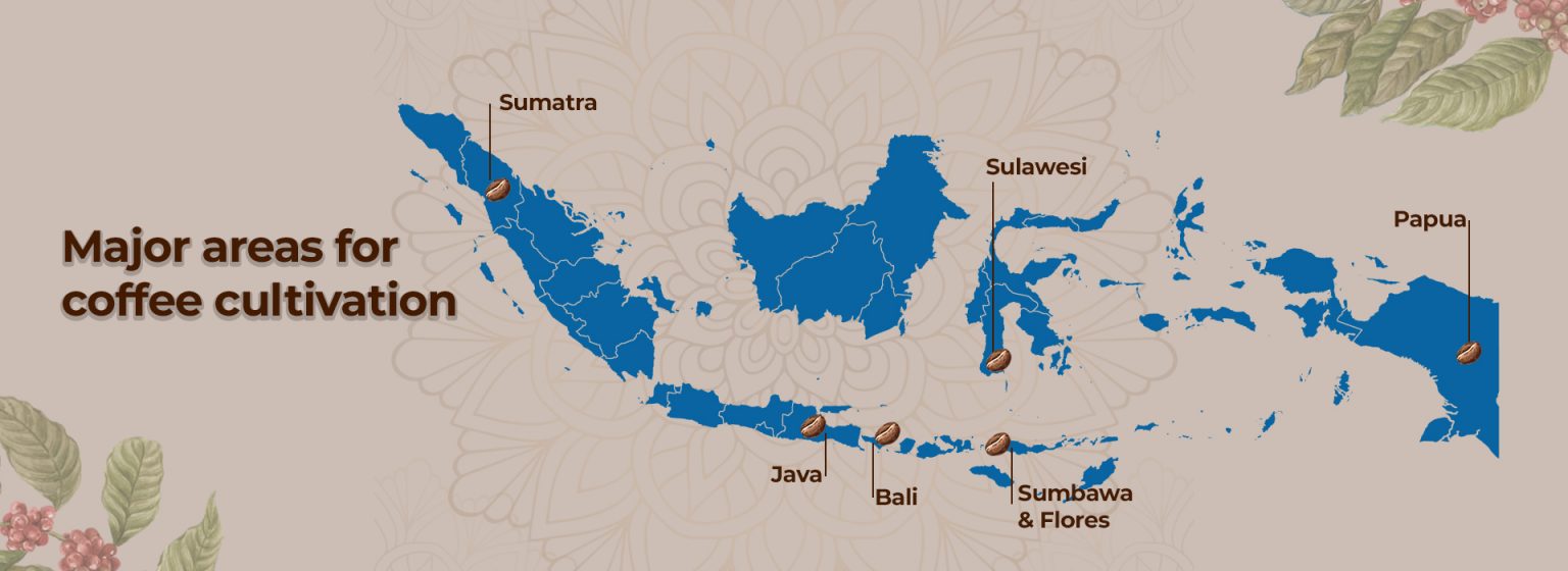 Coffee Beans of Indonesia - Berto Coffee Roaster