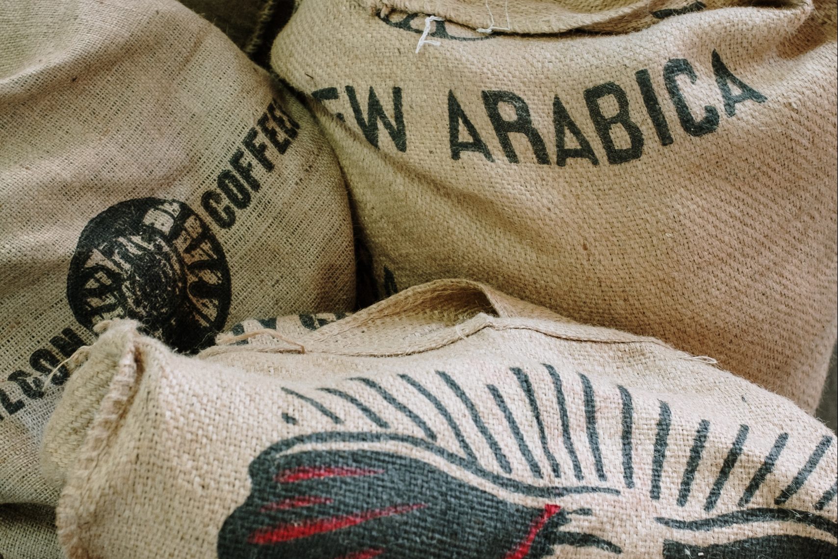 The Importance of Coffee Bean Storage to Maximize Freshness and Flavor