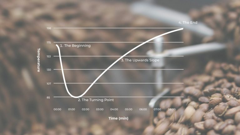 Understanding The Coffee Roasting Curve - Berto Coffee Roaster