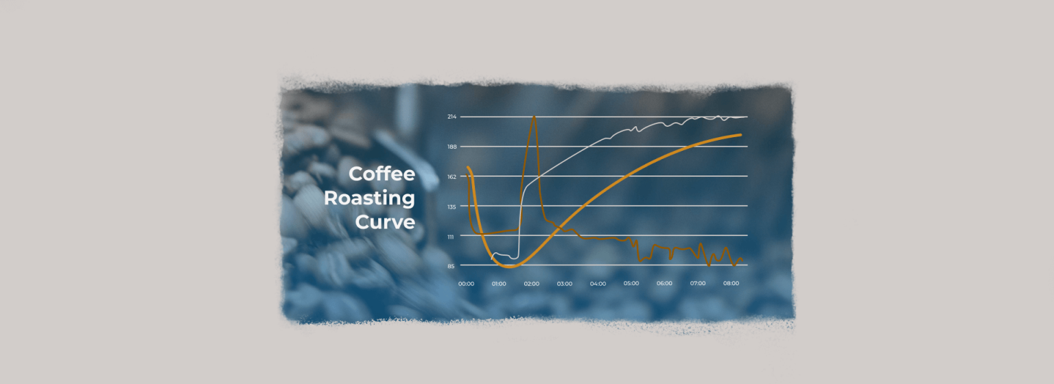 Understanding The Coffee Roasting Curve - Berto Coffee Roaster