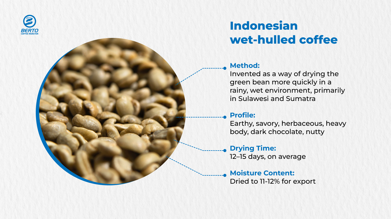 What is the Indonesian Wet-Hulled Coffee Process? - Berto Coffee Roaster