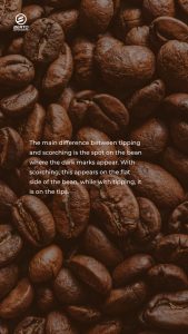 Coffee Roast Defect: How to Avoid Tipping & Scorching?