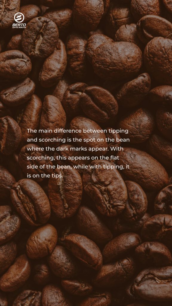 Coffee Roast Defect: How to Avoid Tipping & Scorching?