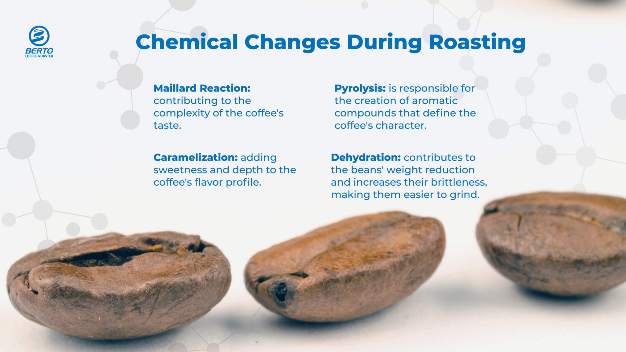 Coffee Roasting Physics Explained - Berto Coffee Roaster