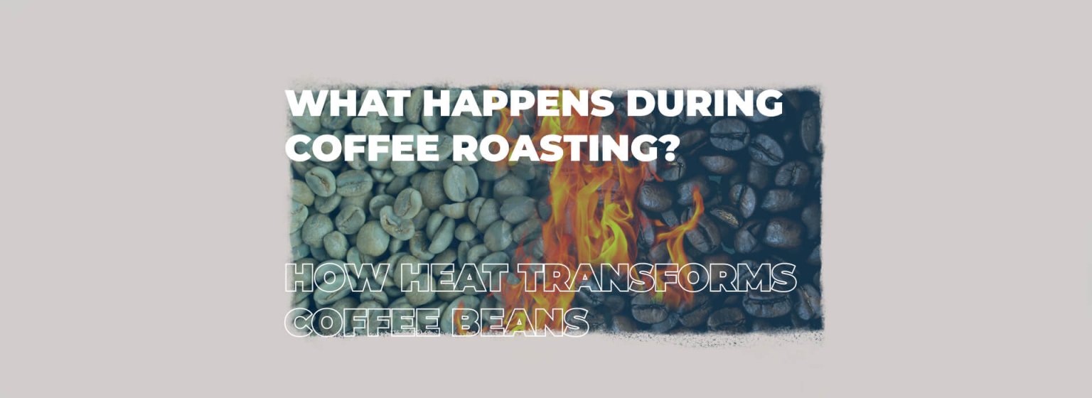 What Happens During Coffee Roasting? How Heat Transforms Coffee Beans ...