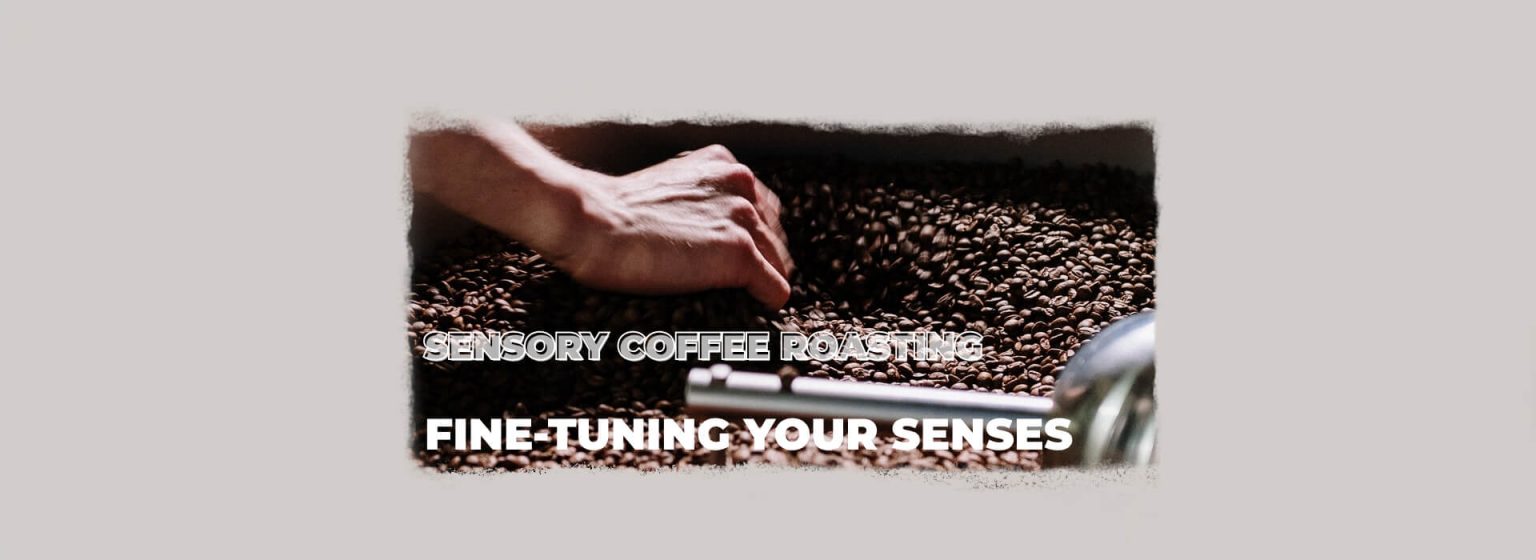 Sensory Coffee Roasting: Fine-tuning Your Senses