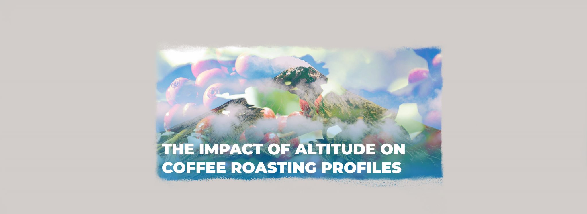 The Impact of Altitude on Coffee Roasting Profiles