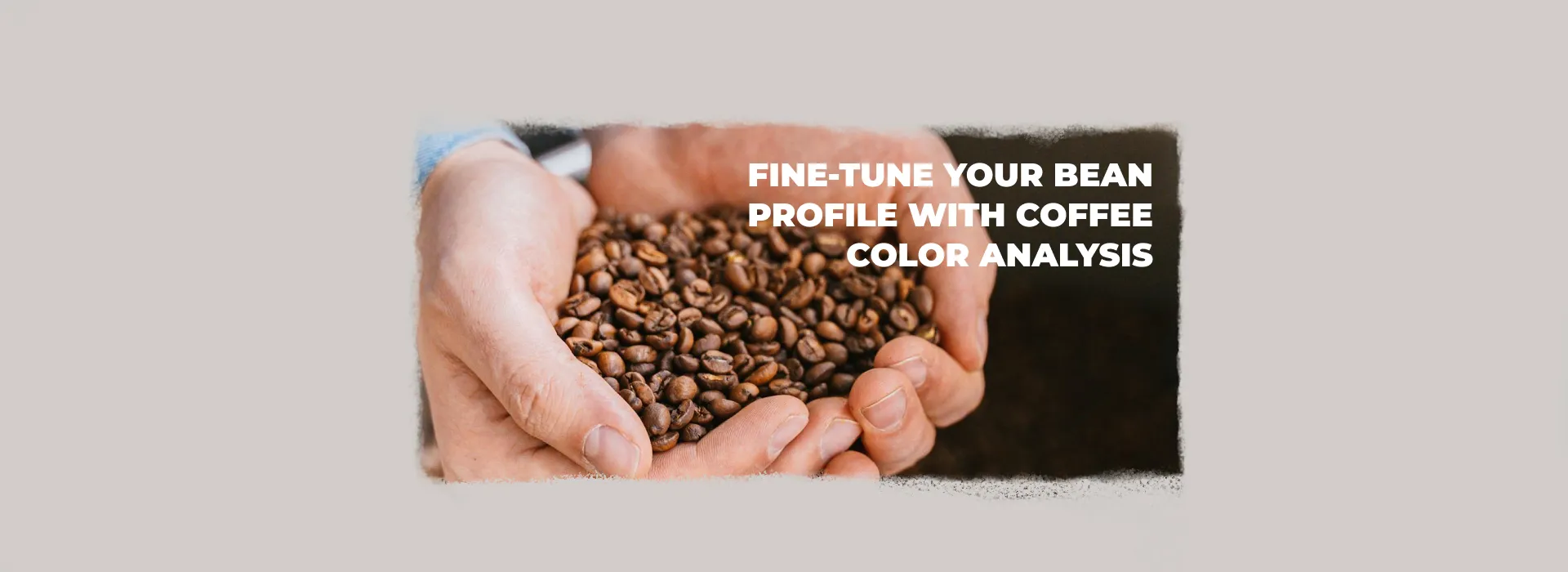 Fine-Tune Your Bean Profile with Coffee Color Analysis